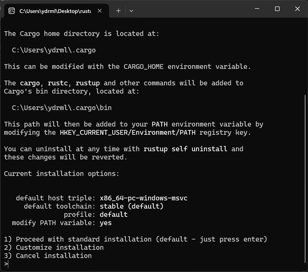 Windows 下的 Rust 环境 - InfiniTensor训练营导学阶段指导书
